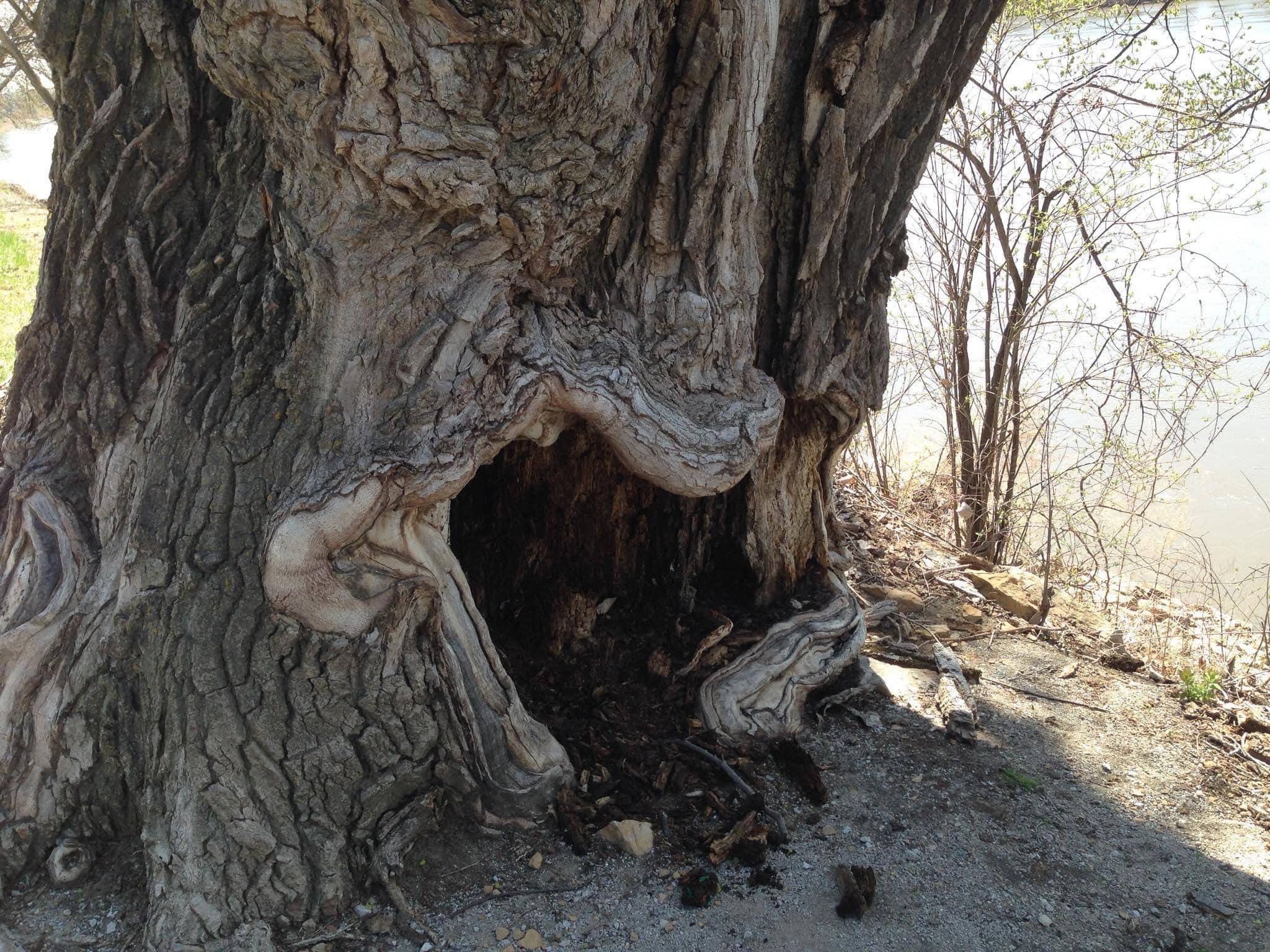 The Unrepenting Repenter - CCW - Christian Communicators Worldwide