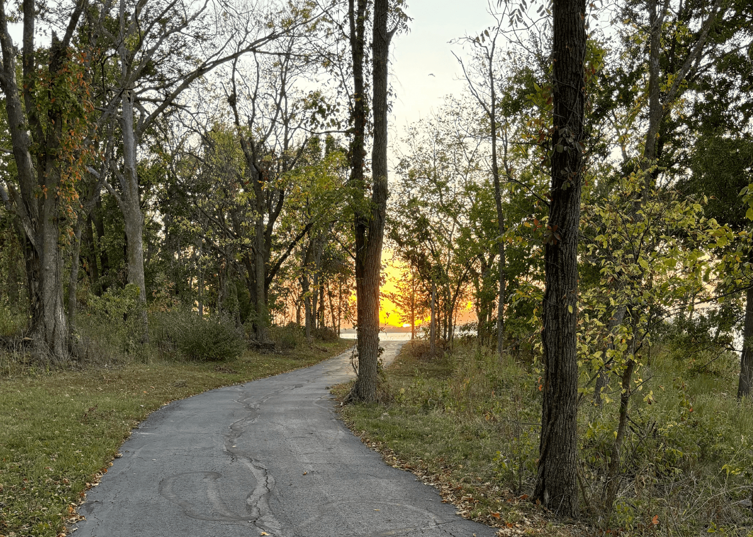 Reading Scripture Rightly: A Letter From Jim - CCW - Christian ...