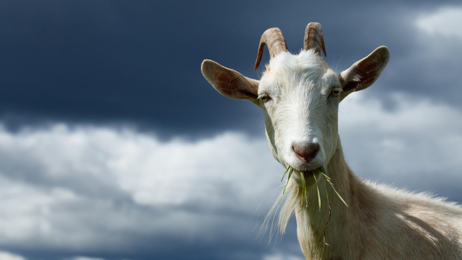 Two Angels on a Bloodied Slab - CCW - Christian Communicators Worldwide